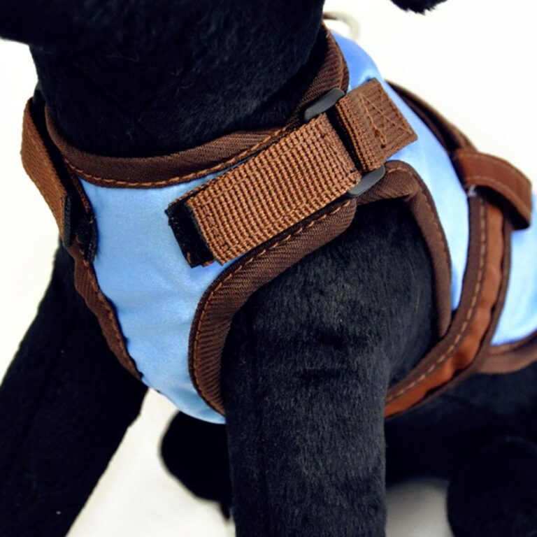 Sprout Avant Garde Harness - Slow Global